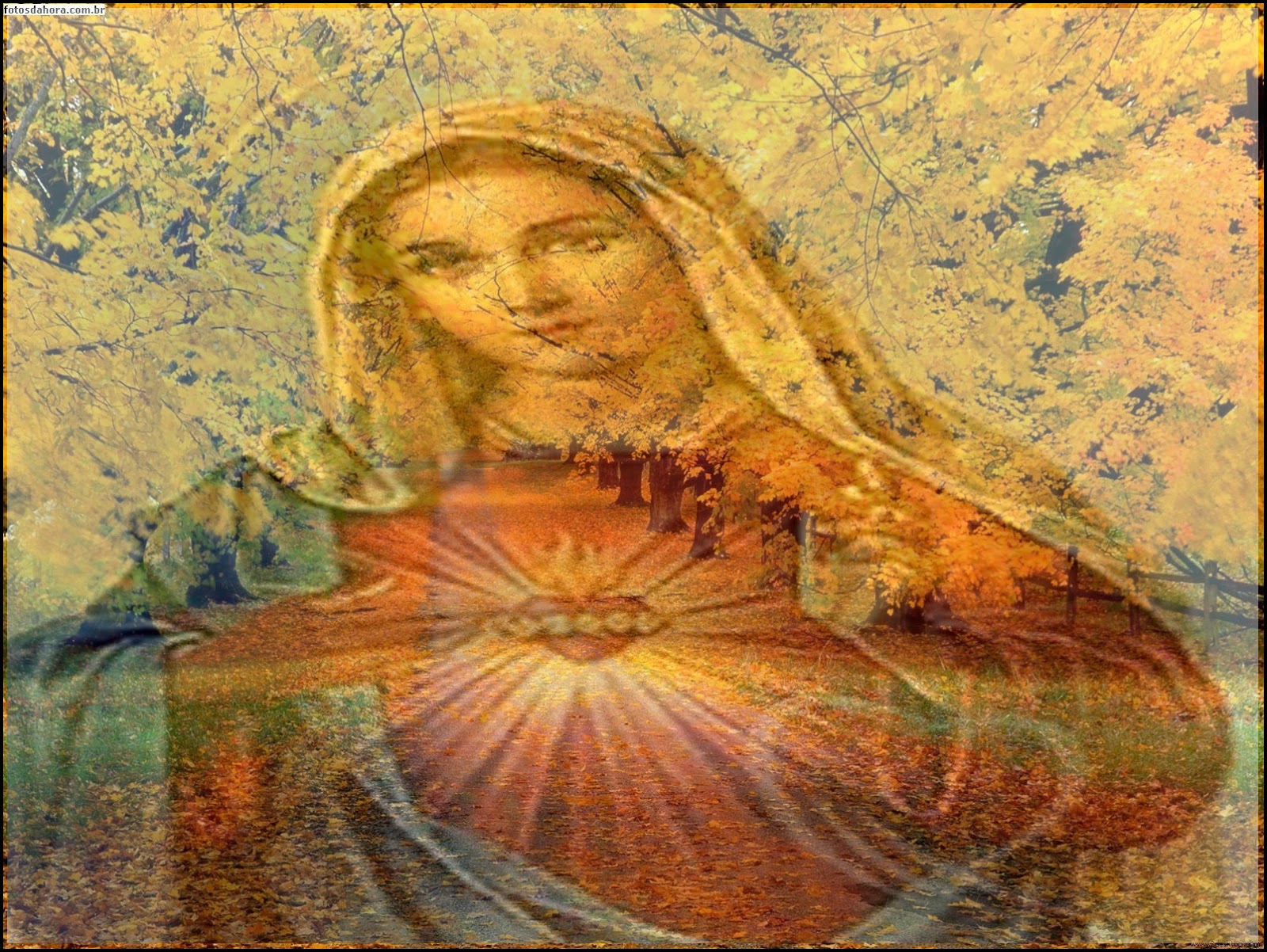 PERSEVERANÇA EM MARIA: Eis o caminho para o Céu!!