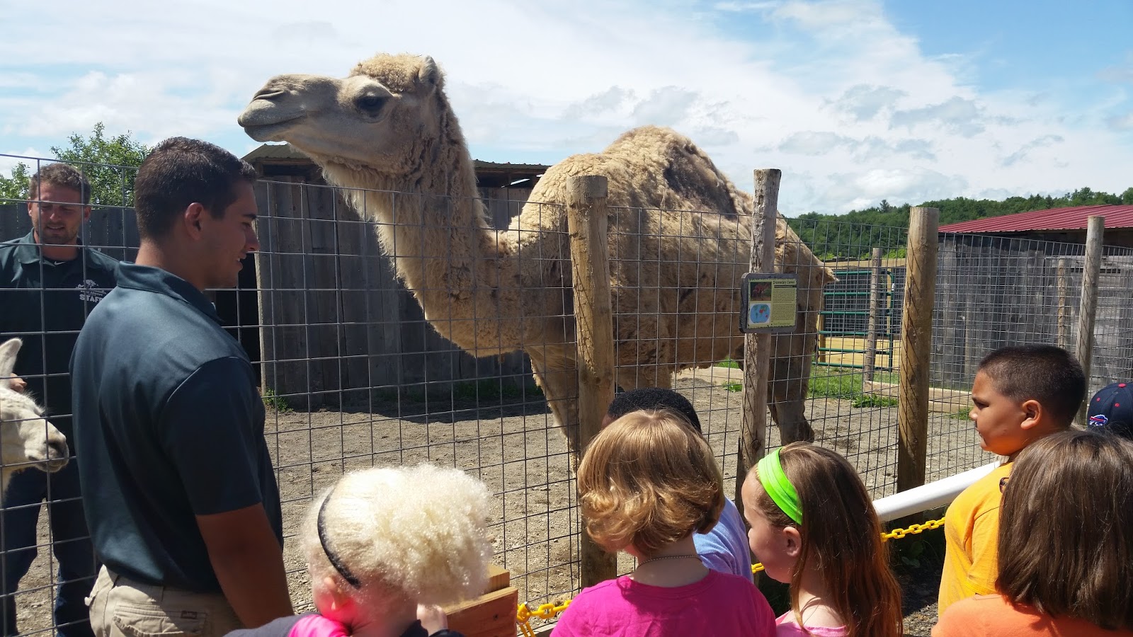 My Daughter's Field Trip: Animal Adventure --Harpursville, NY