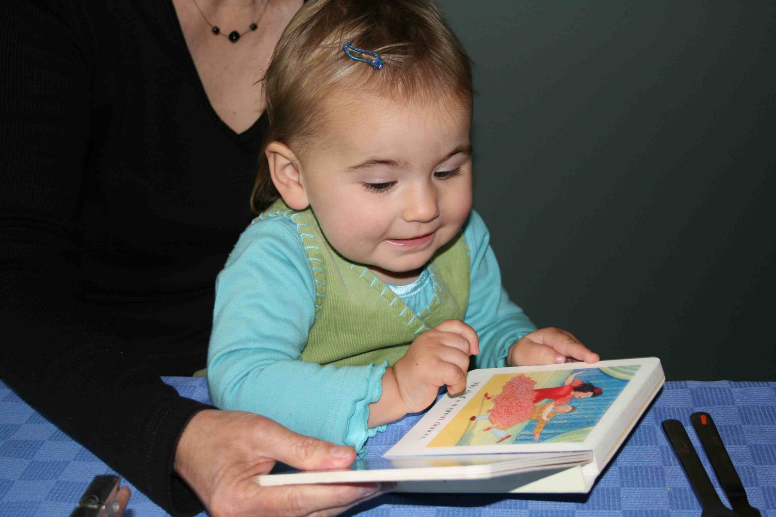Literacy, families and learning: Your Baby Can Read – Part 3