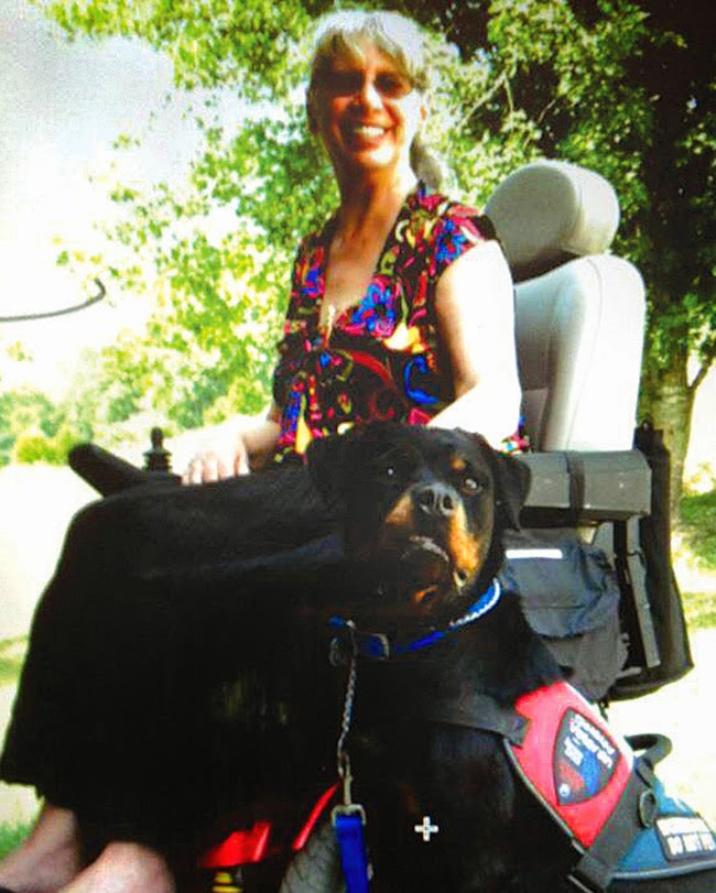 Four legged friends (and enemies): Weird 'service' animals show up in ...