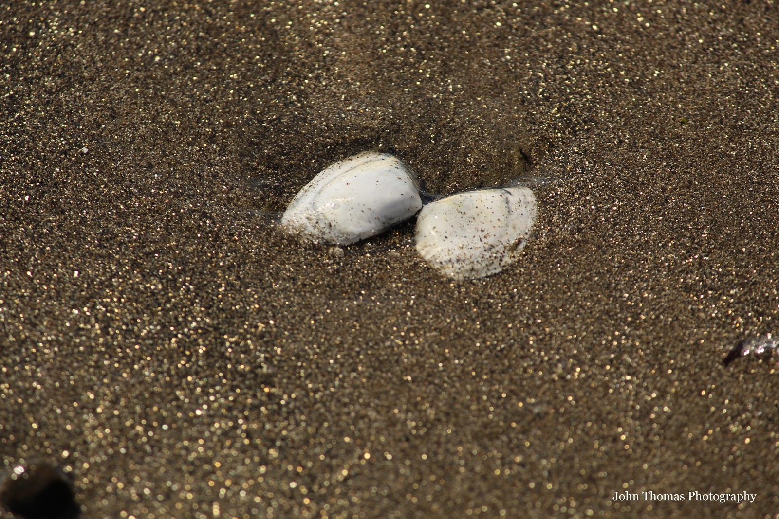 John Thomas Photography: Half Moon Bay