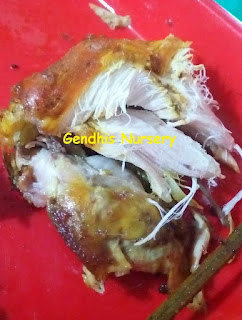 Gendhis Nursery: Icip Icip Kuliner Langka di Semarang ( Iwak Manuk Pak No )