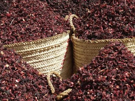 So you Nigerians like Zobo drink? The export of hibiscus locally known ...