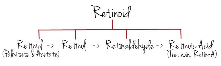 Skin Care Made Simple: Retinol 101: What you need to know