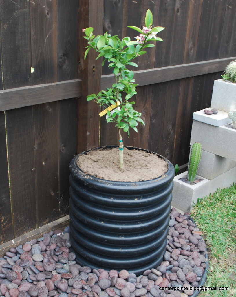 Centerpointe Communicator: Culvert planters, Part 1