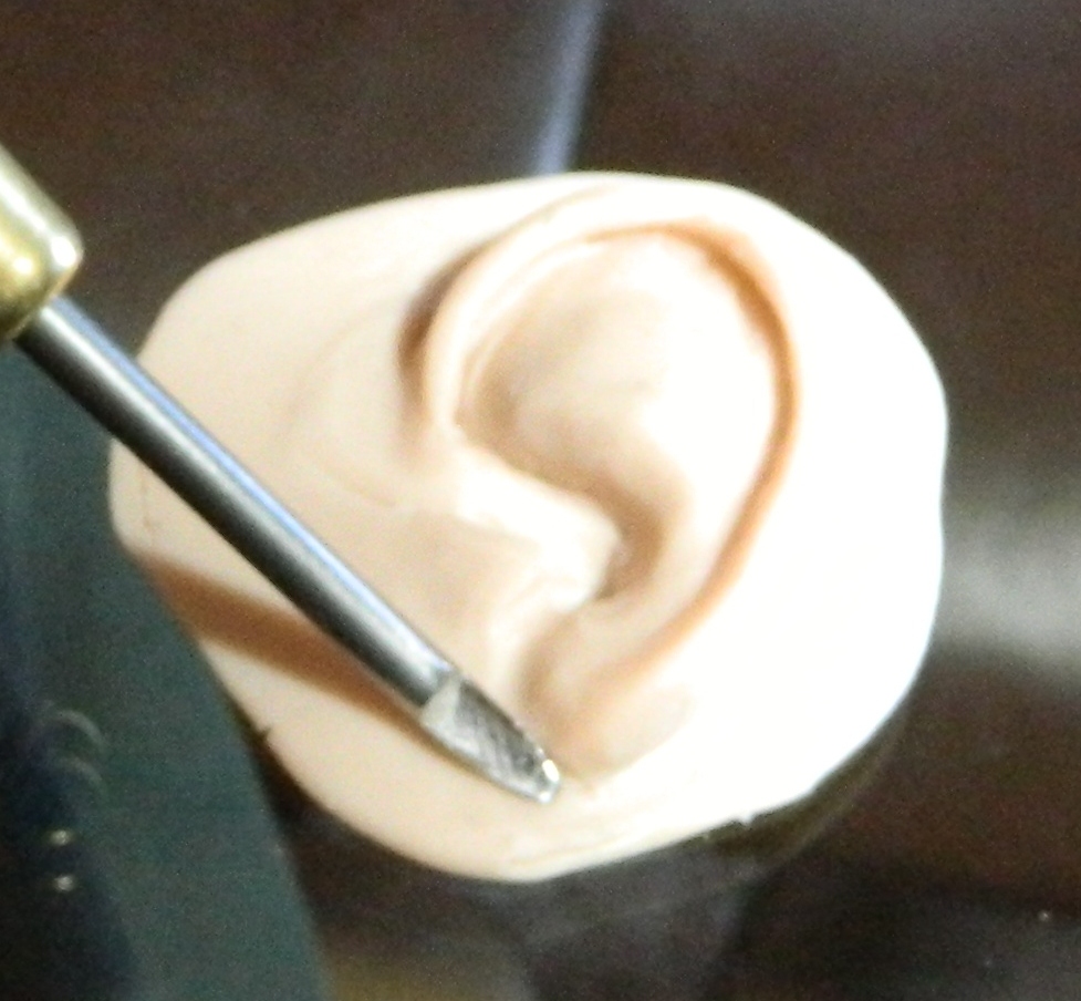 MADSCULPTOR: Sculpting Ears