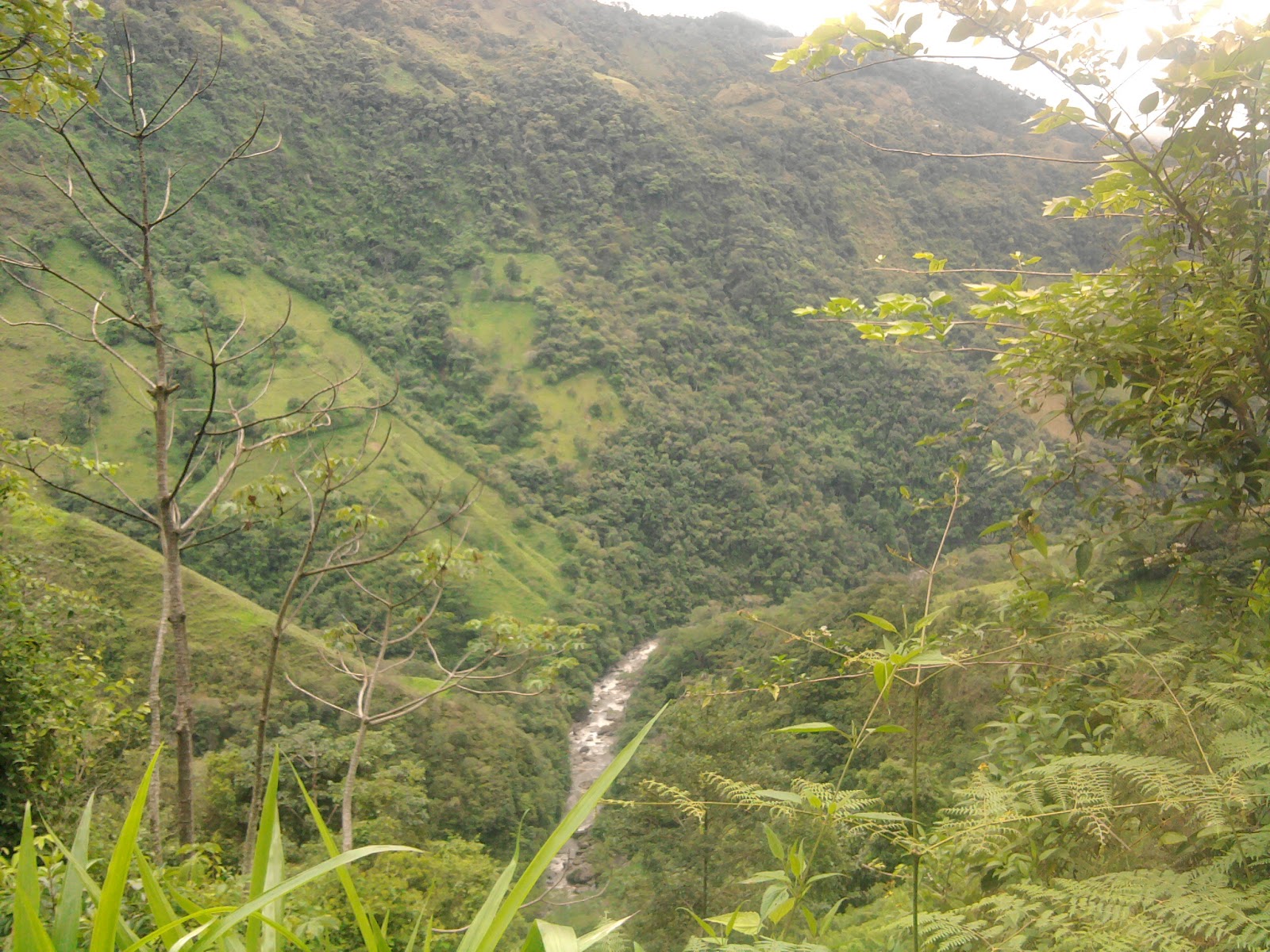 GACHALA CUNDINAMARCA: octubre 2012
