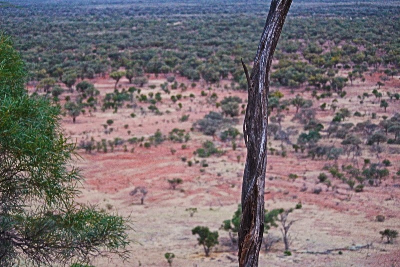 Travelling Around Australia: White Cliffs Outback NSW to Charleville ...