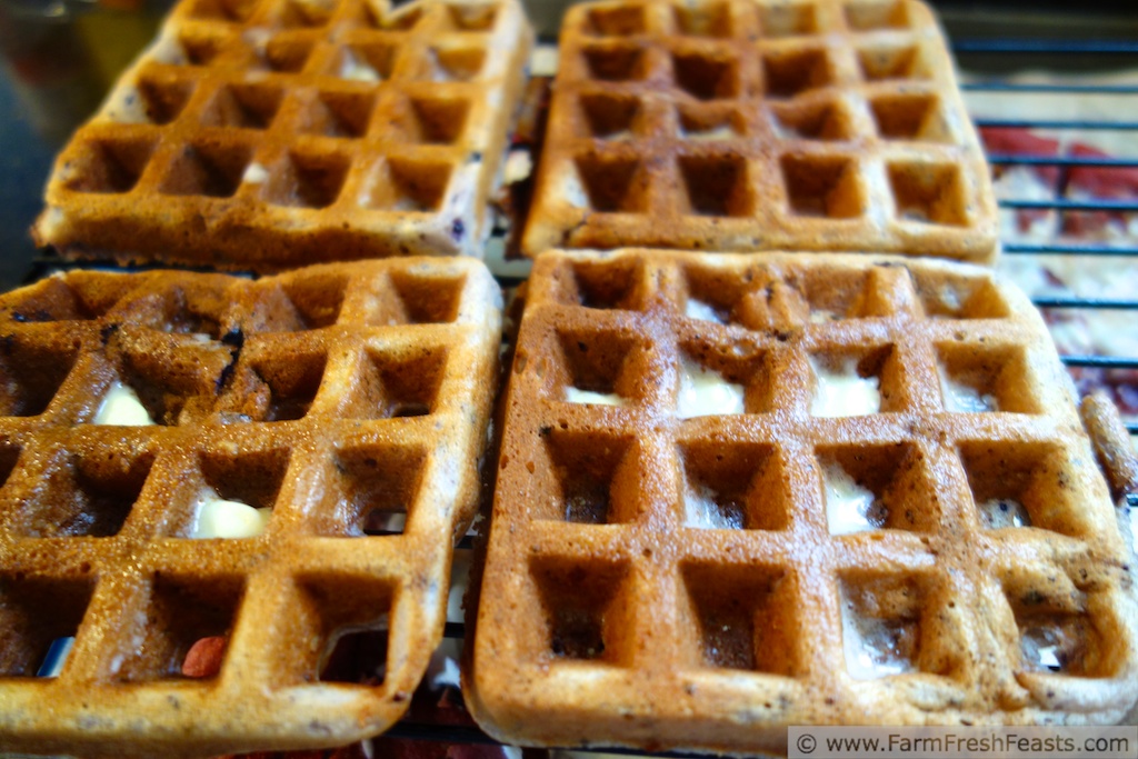 Farm Fresh Feasts: Sweet Corn and Blueberry Waffles
