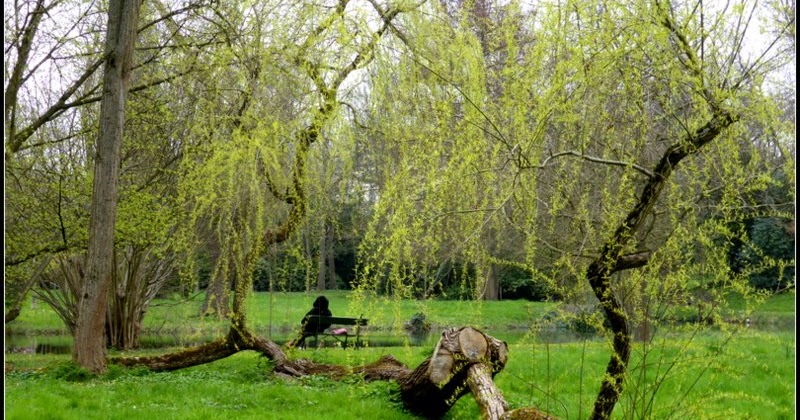 VersaillesDailyPhoto blog: Vert