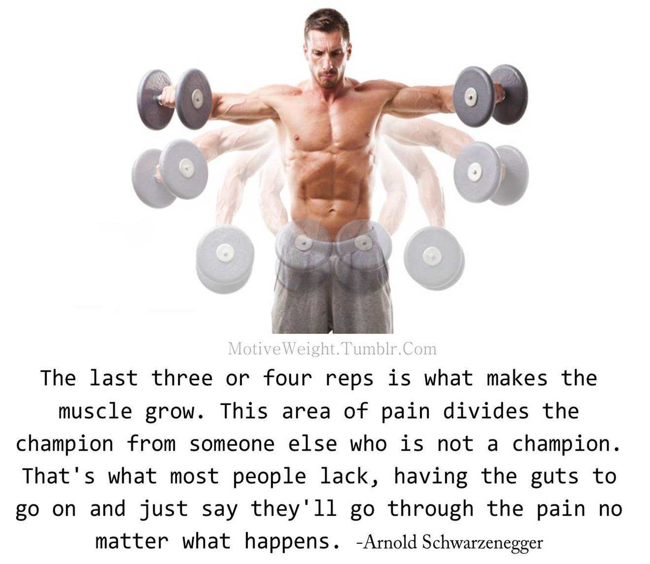 MotiveWeight: Train Hard See Results