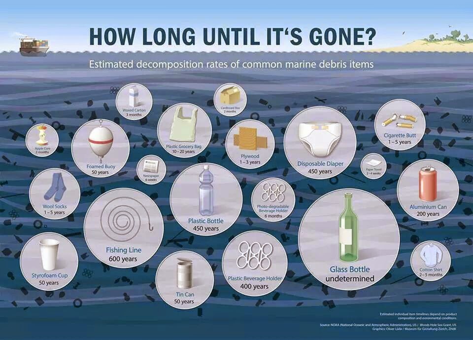 Infographic – The Perils of Plastic and What to Do About it ...