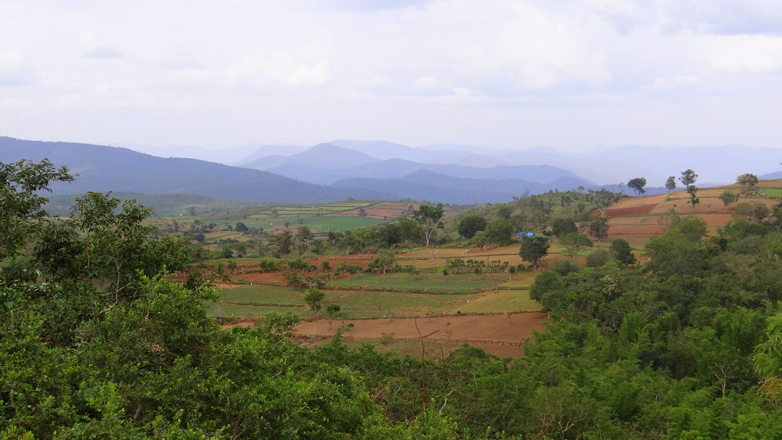 Sathyamangalam Tiger Reserve and Germalam Trek