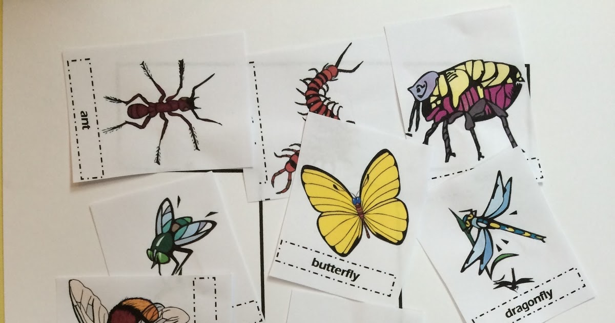 Letter I: Insect Collage, Insect Hunt, Insect Action Cards, Icy Insect ...