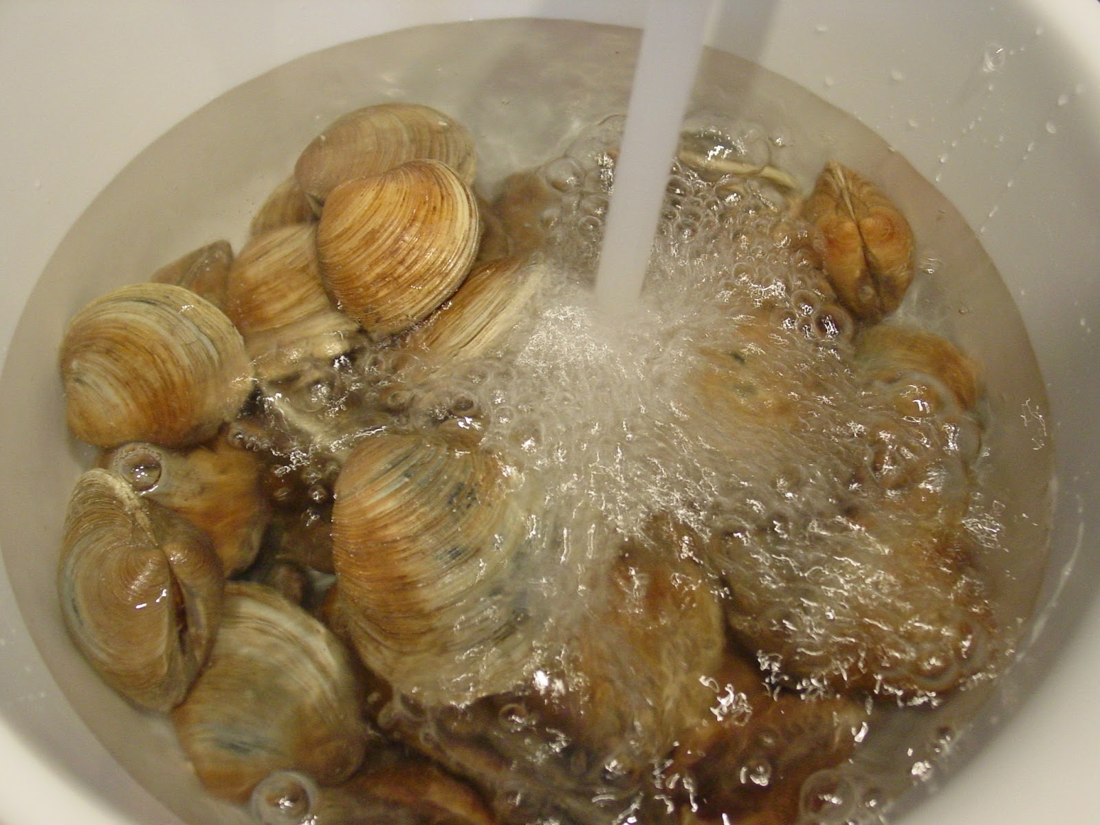The Dirty Floor: Clam Linguine with White Wine and Red Peppers