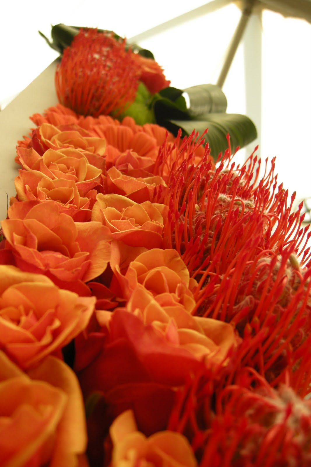 The Floral World of David Ragg