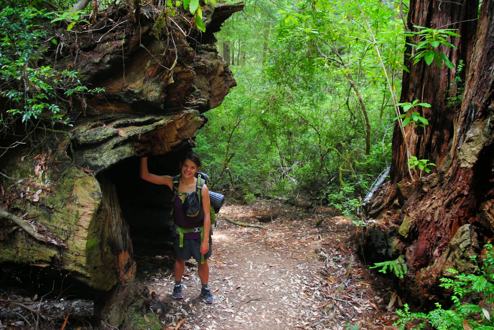 Spreading my Wings: Redwood National Park