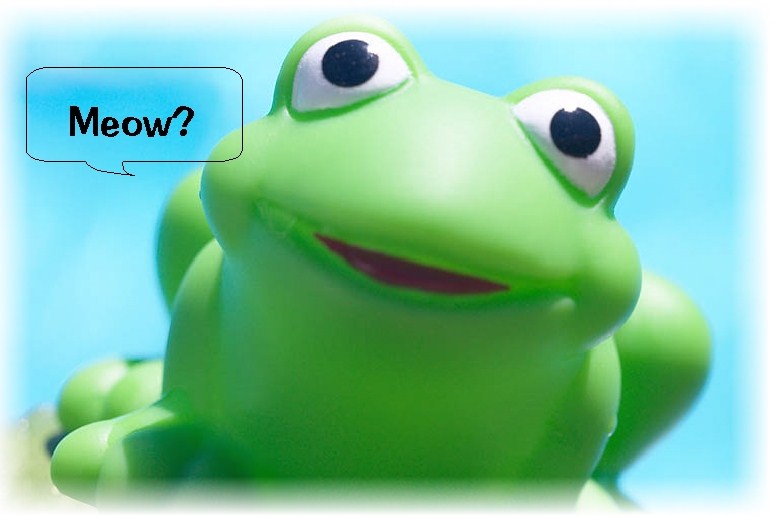 Thimblemouse & Spouse: It's MeOwZa MoNDaY....BOO!