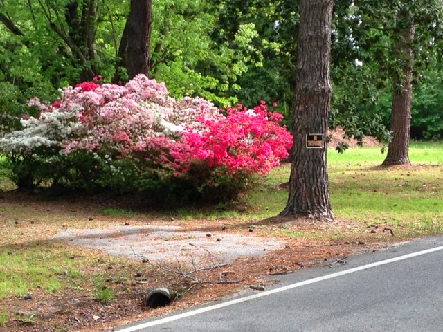 Navigator on the Loop: AGLCA Rendezvous and Leaving Norfolk to ...