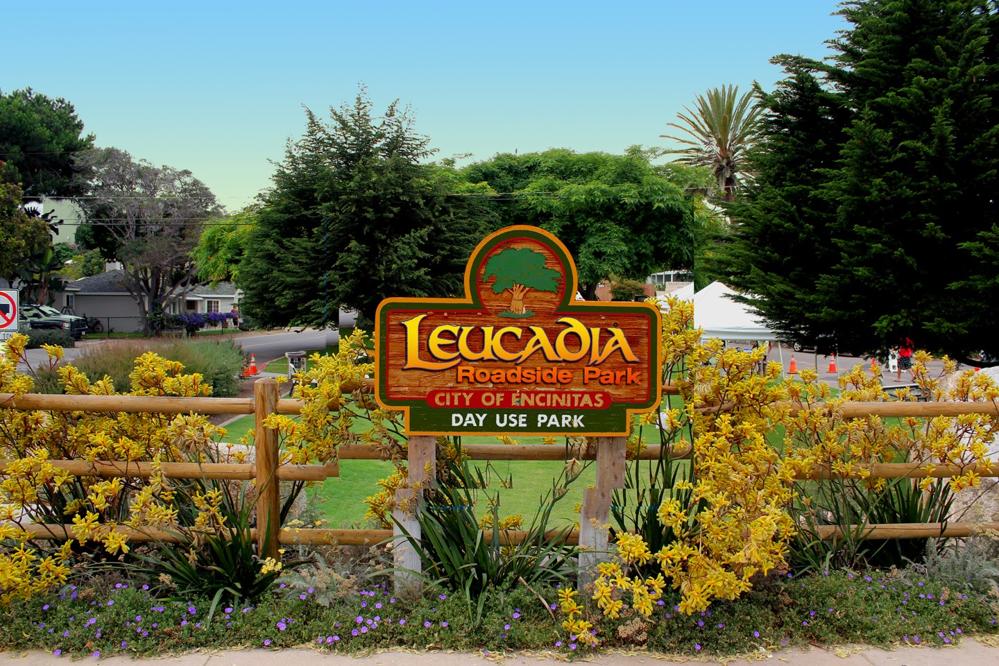 LEUCADIA TOWN COUNCIL BLOG