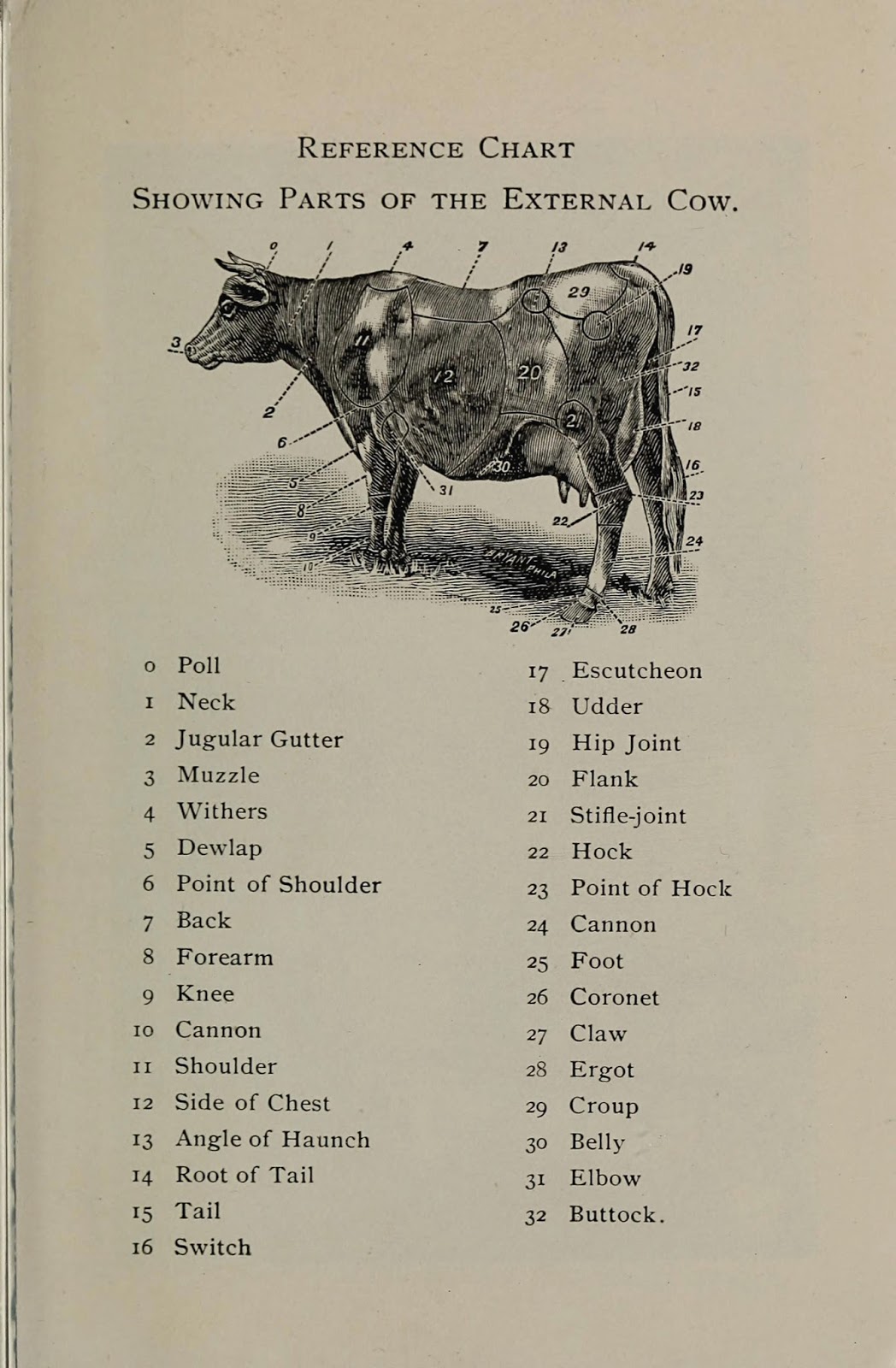 Create with TLC: Printable Vintage Cow Reference...