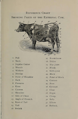Create with TLC: Printable Vintage Cow Reference...