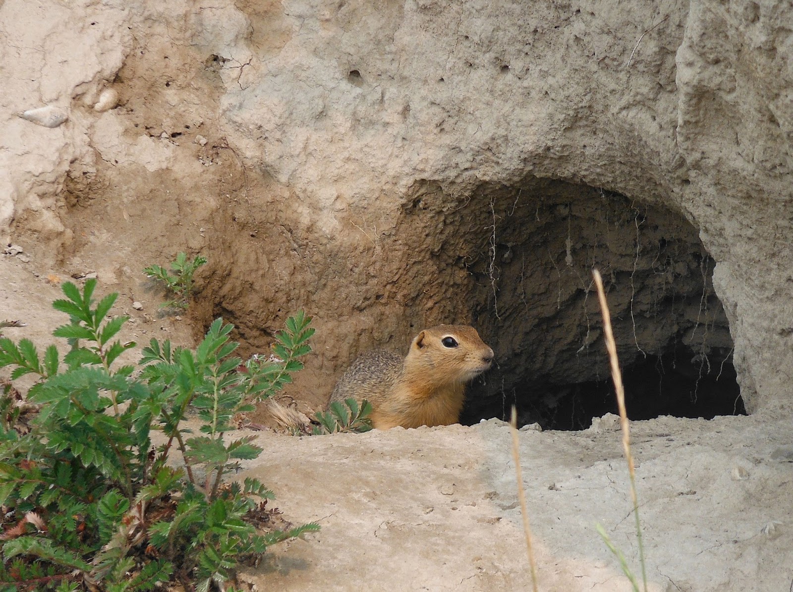 Walking Calgary: Glenbow Ranch Provincial Park