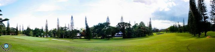 Dole Kalsangi Polomolok South Cotabato |General Arze