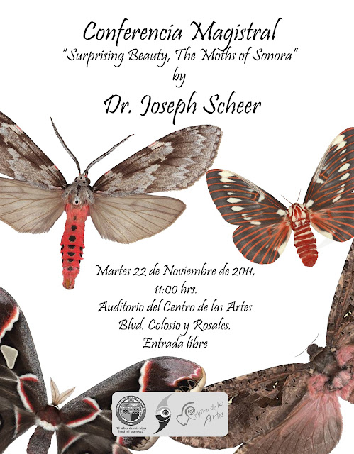 Joseph Scheer: Exhibitions