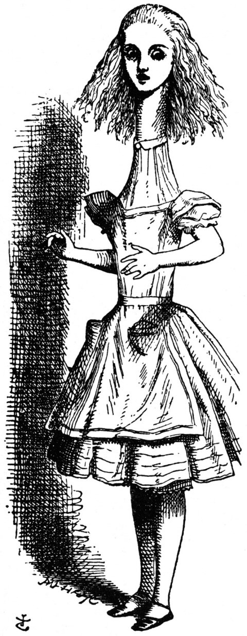 Alice's Illustrated Adventures In Wonderland: Chapter 2 ~ The Pool Of Tears