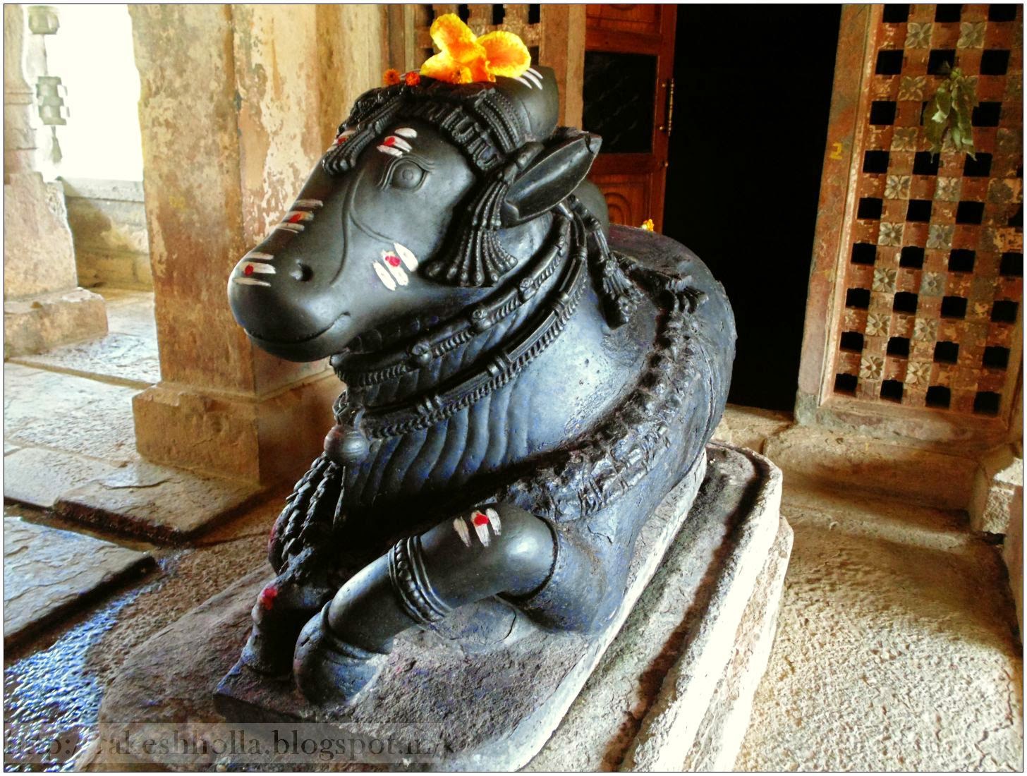 The Voice of Greenery - Trekking and Travelling in Western Ghats ...