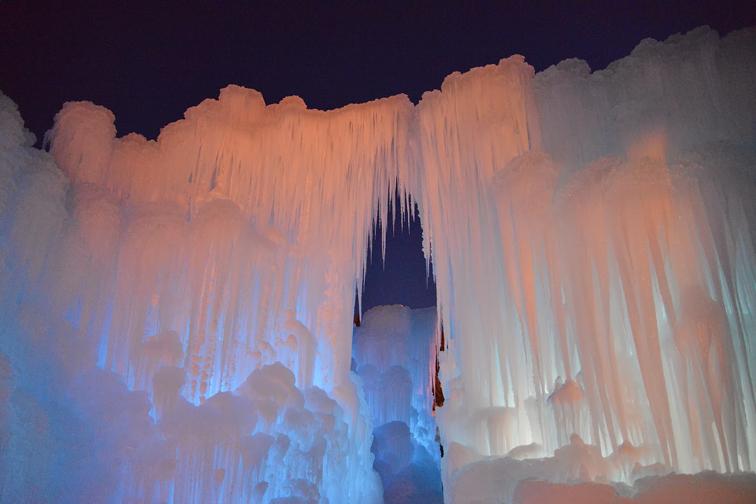 A school of fish: Ice Castle Field Trip
