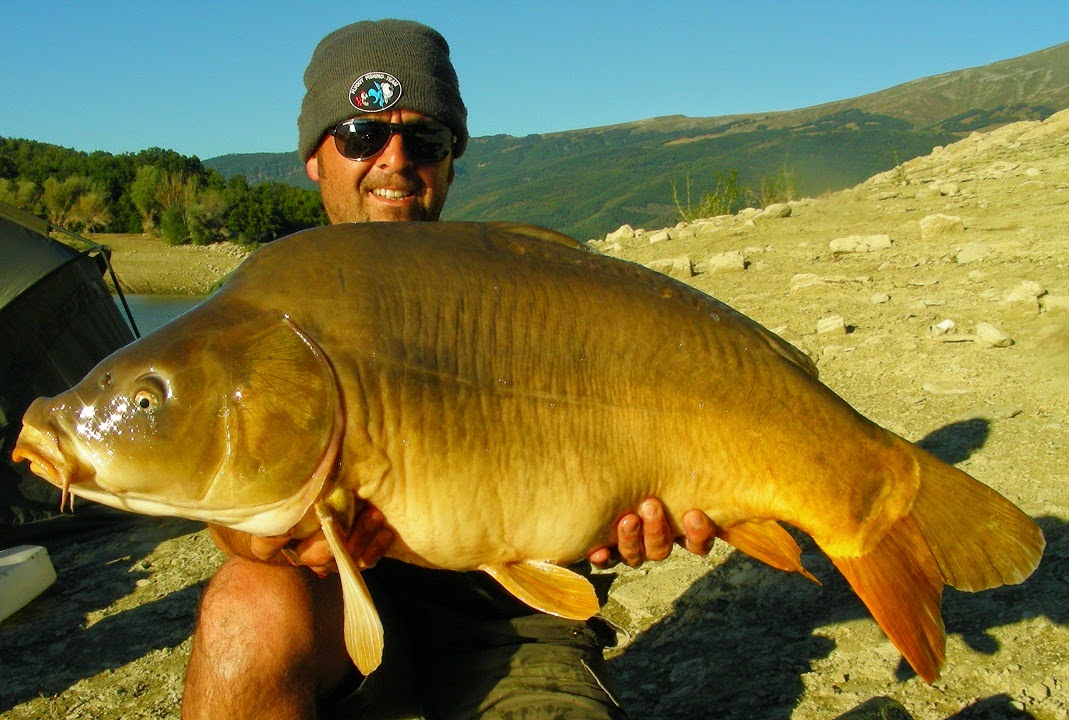 FlyOut: ottobre 2014