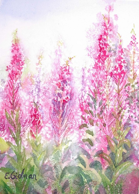 Eileen Gidman: Watercolour & Textile Artist: Sunlit Fireweed