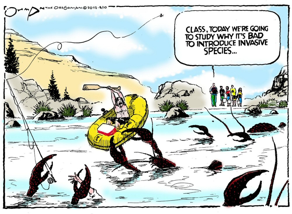 The Dish on Fish: Don't Let It Loose! - Alternatives to Release