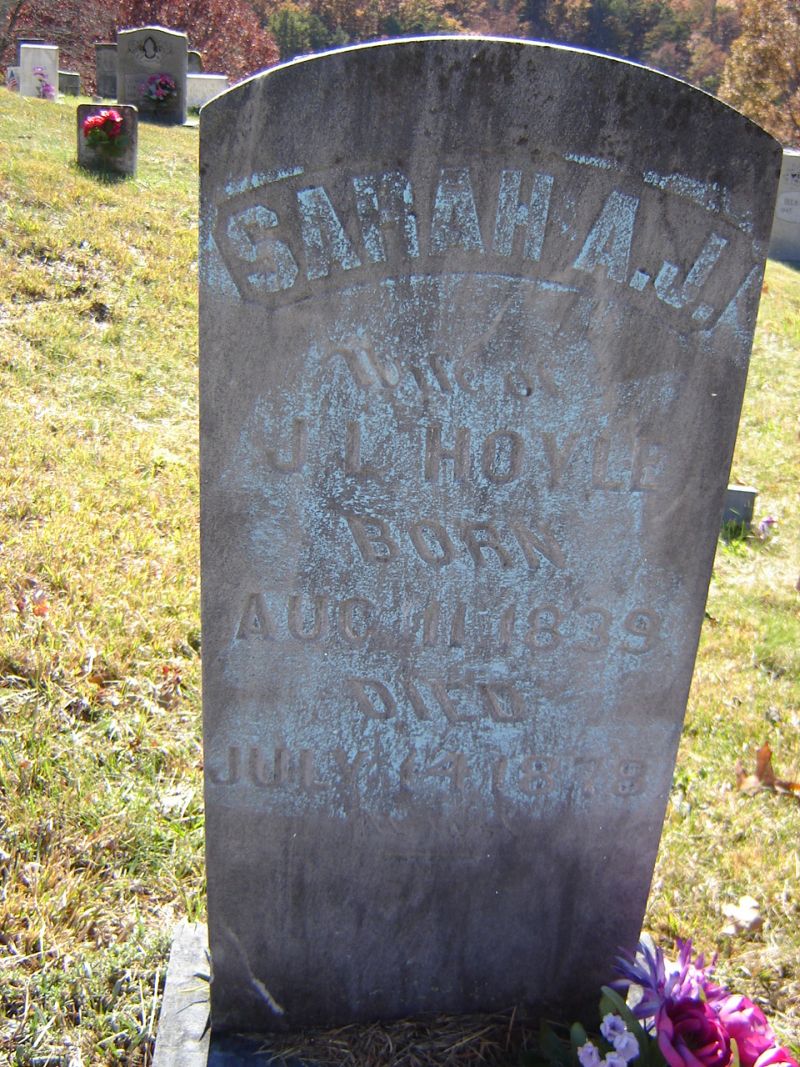 Jacob Leonard Hoyle Family History: Jacob Leonard Hoyle 1840-1891