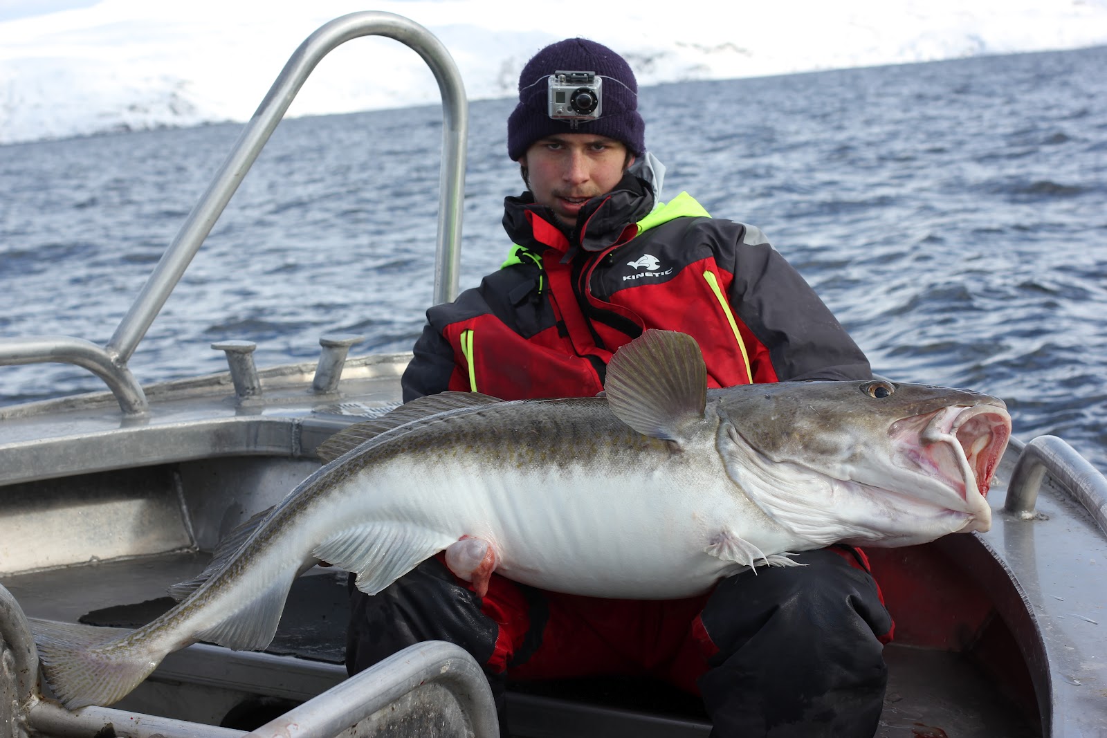 Thunder Fishing Teams blogg: Torskefiske fortsetter