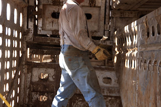 Double H Photography: Loading a Cattlepot