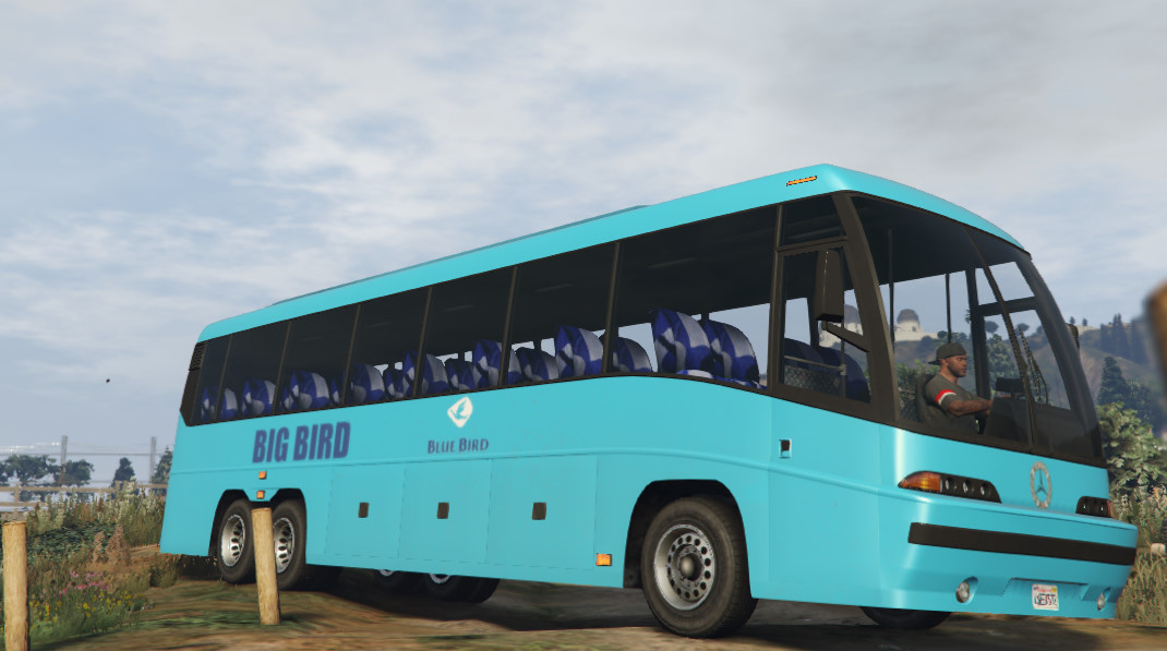 Big Bird bus (Blue Bird Group)