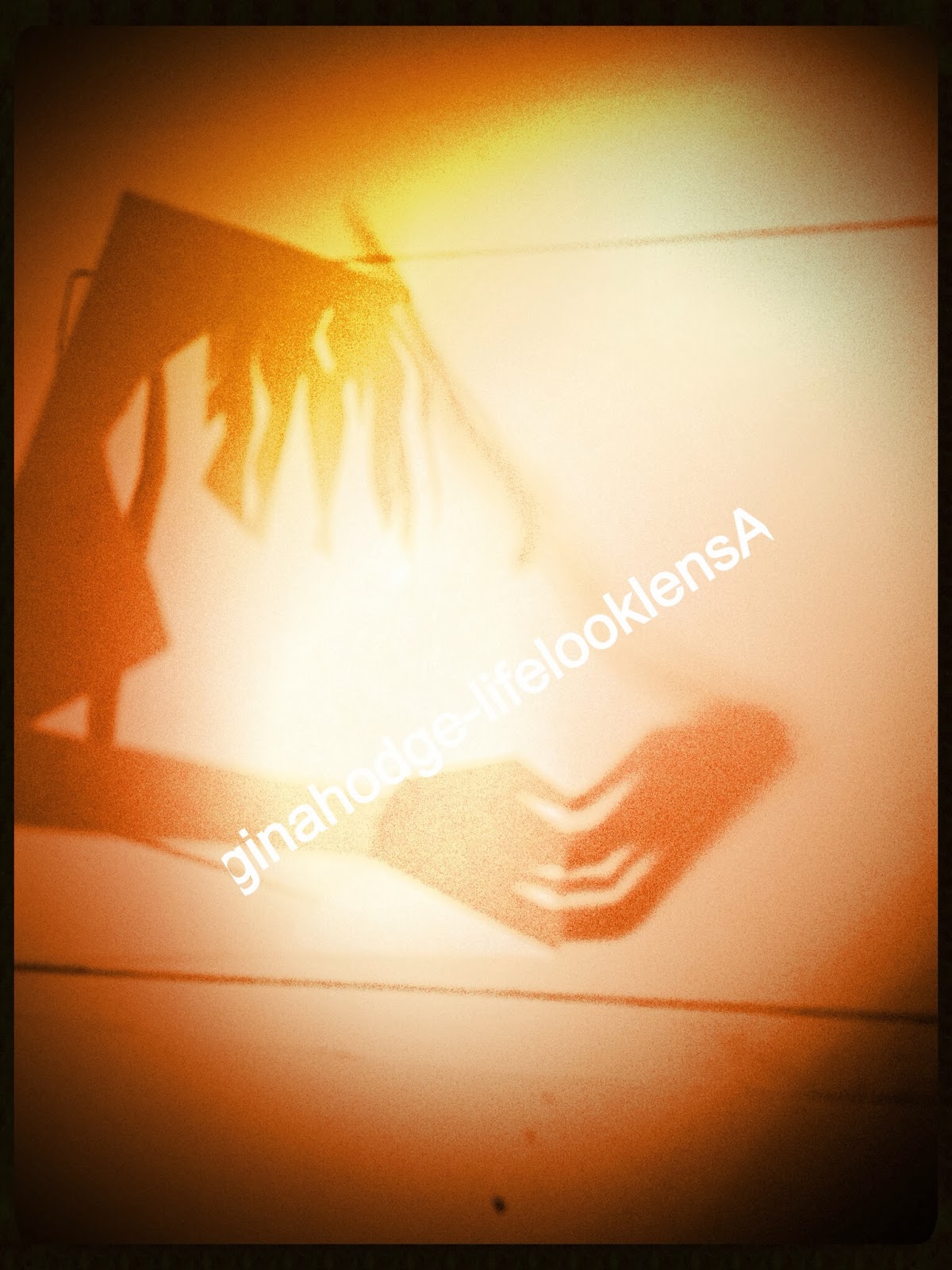 LifeLookLens: Shadow Art D.I.Y. & Crafty Paper Cut-outs for Fun With ...