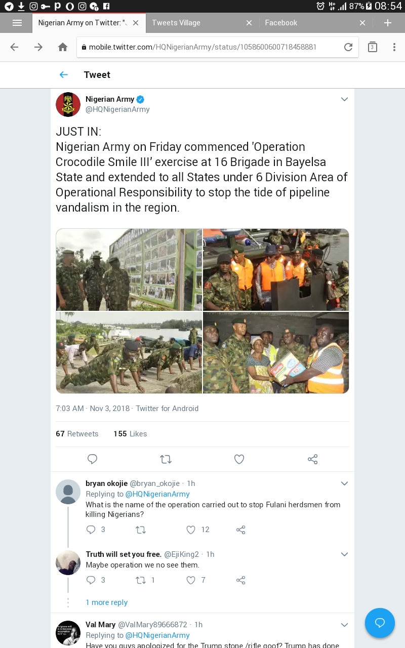 T' Parrot: Nigerian Army begins Operation Crocodile Smile III in Bayelsa State.