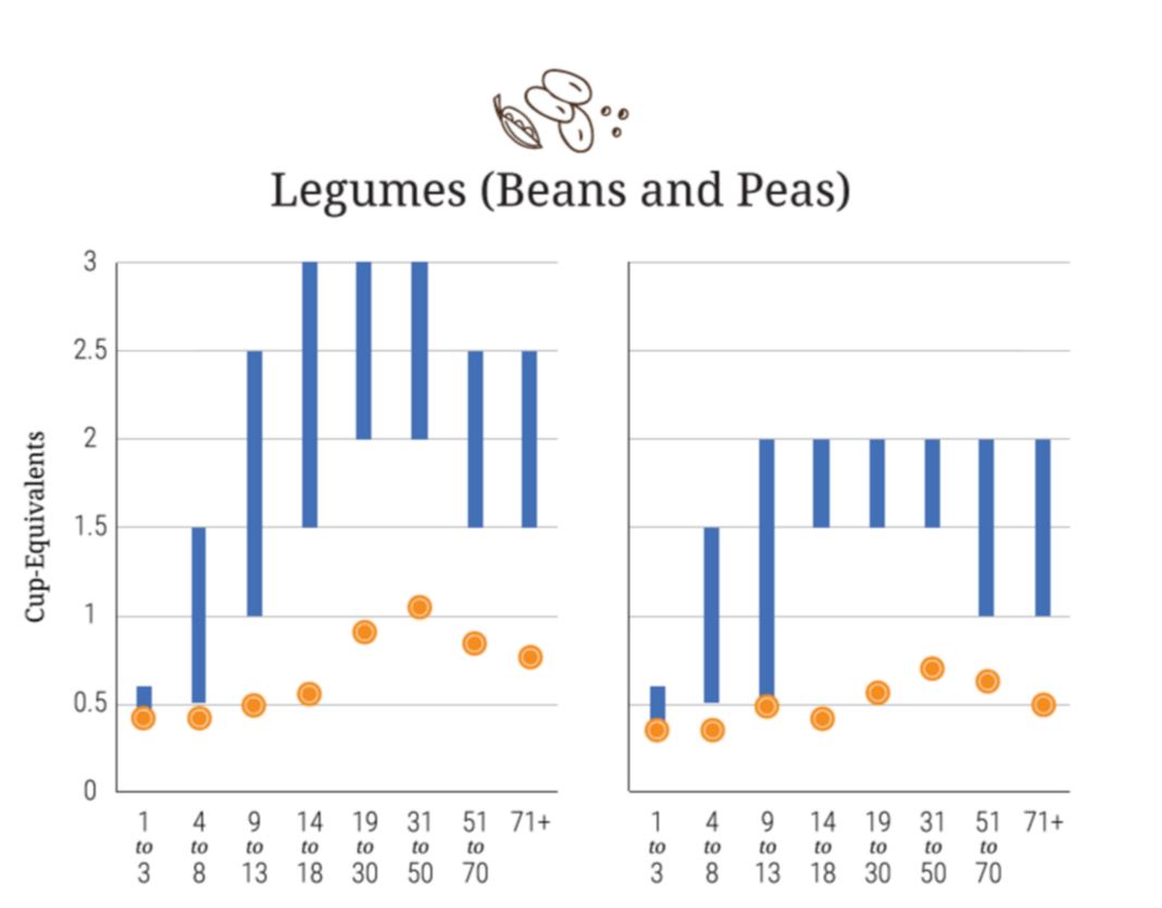 Dr. Deena's Daily Dose: Legumes -- so tiny, but filled with proteins ...