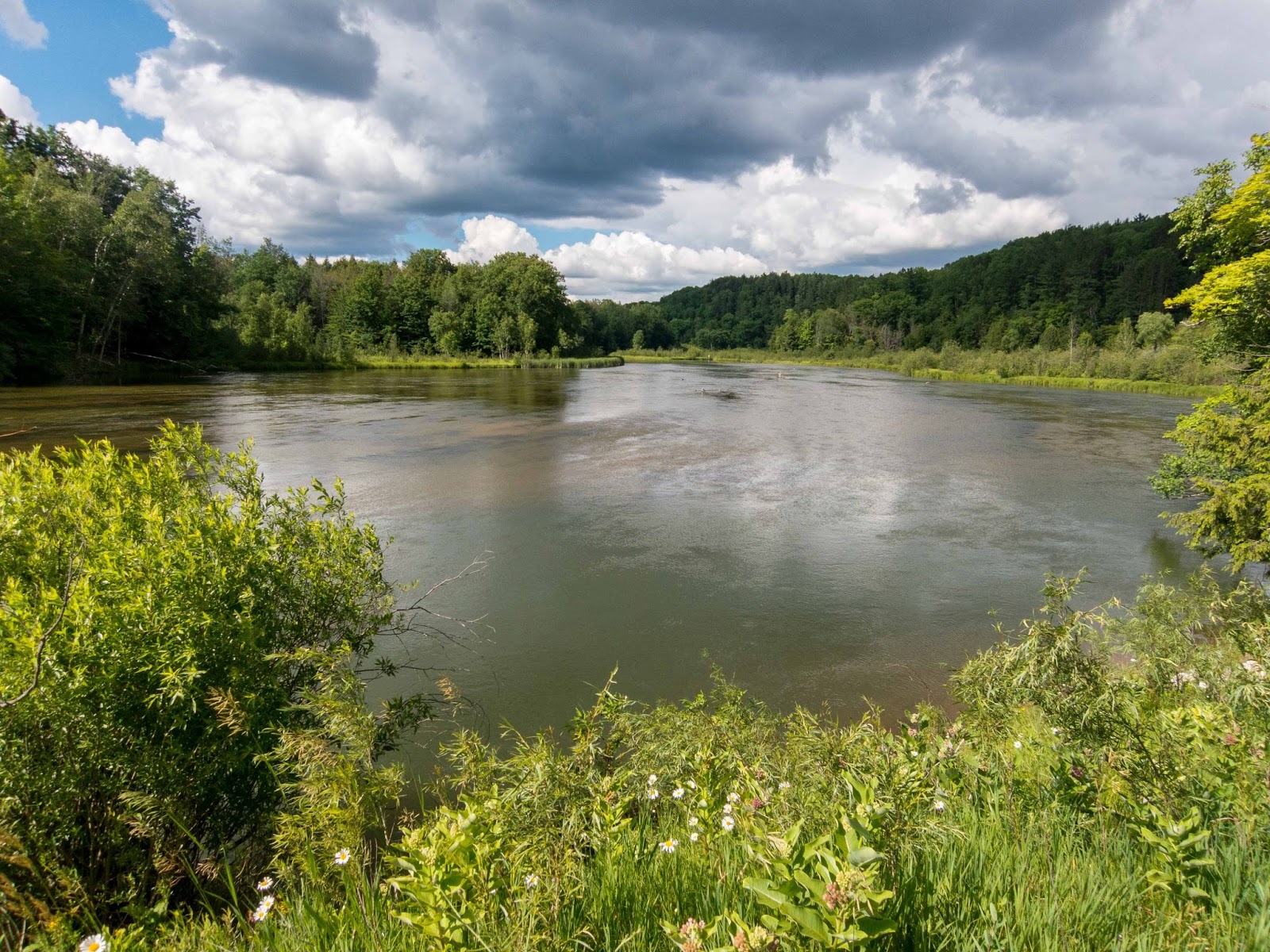 Eric's Hikes: Manistee River Trail/NCT Loop Day Hike