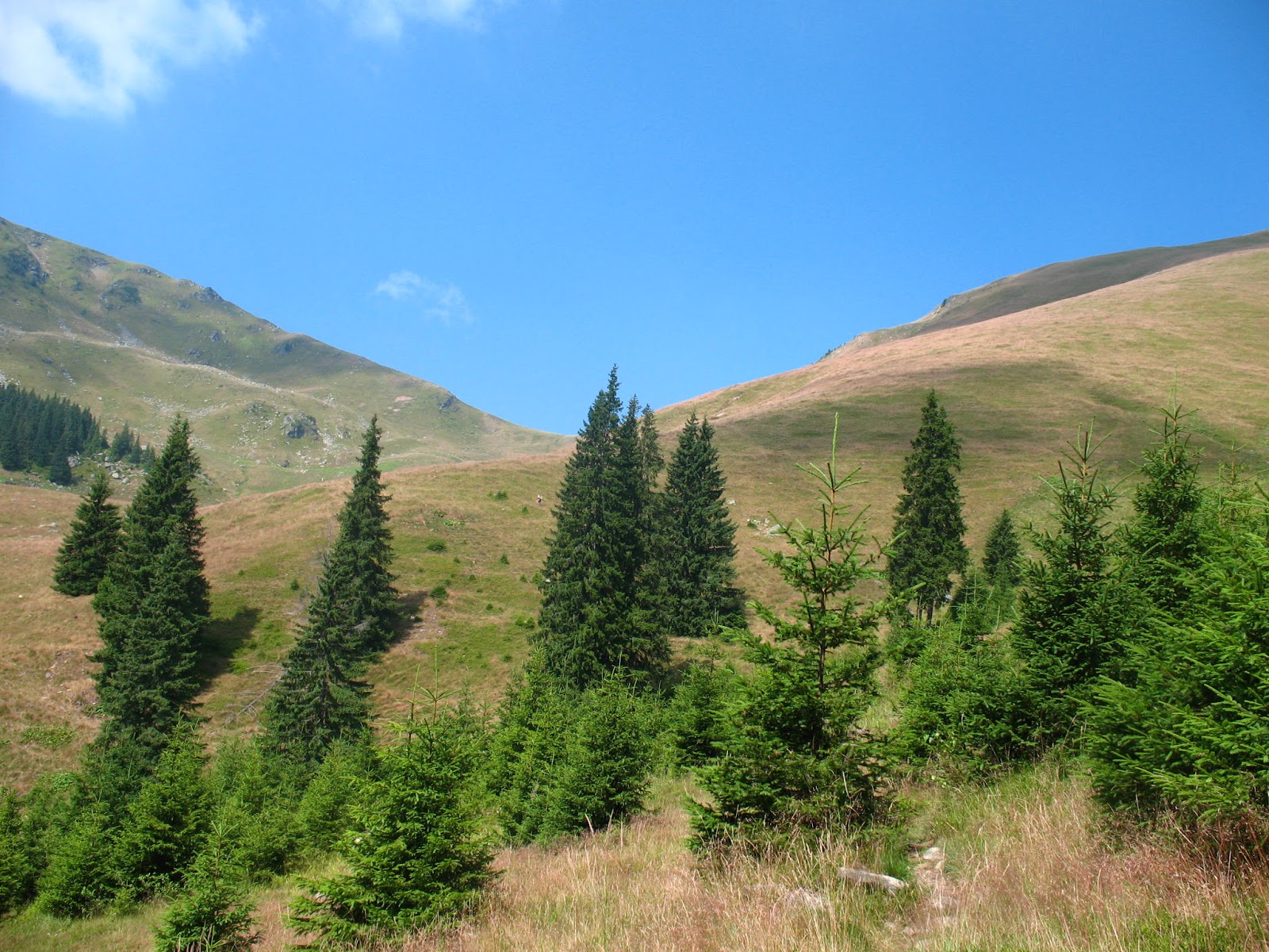 Asociatia de Turism Montan 'VIA-RETEZAT': Muntii Tarcu