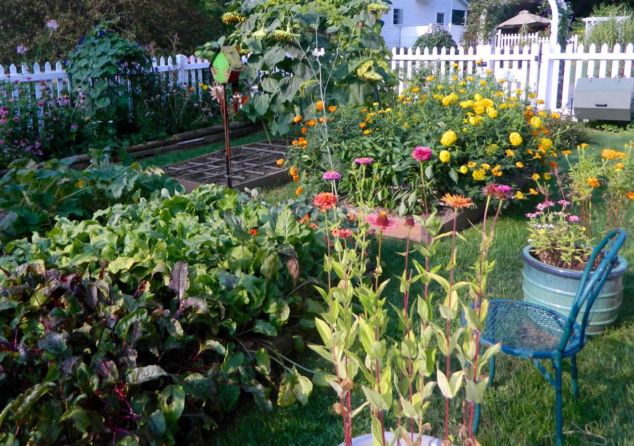 Pam's English Cottage Garden: Container Gardening