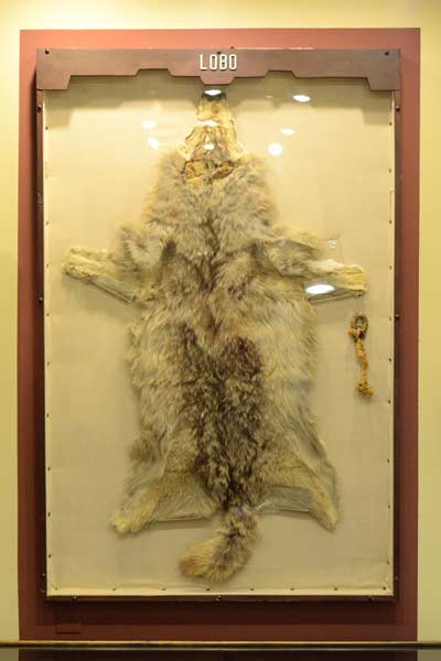 Hanya Seorang Penggemar Nasuverse: Review Lobo