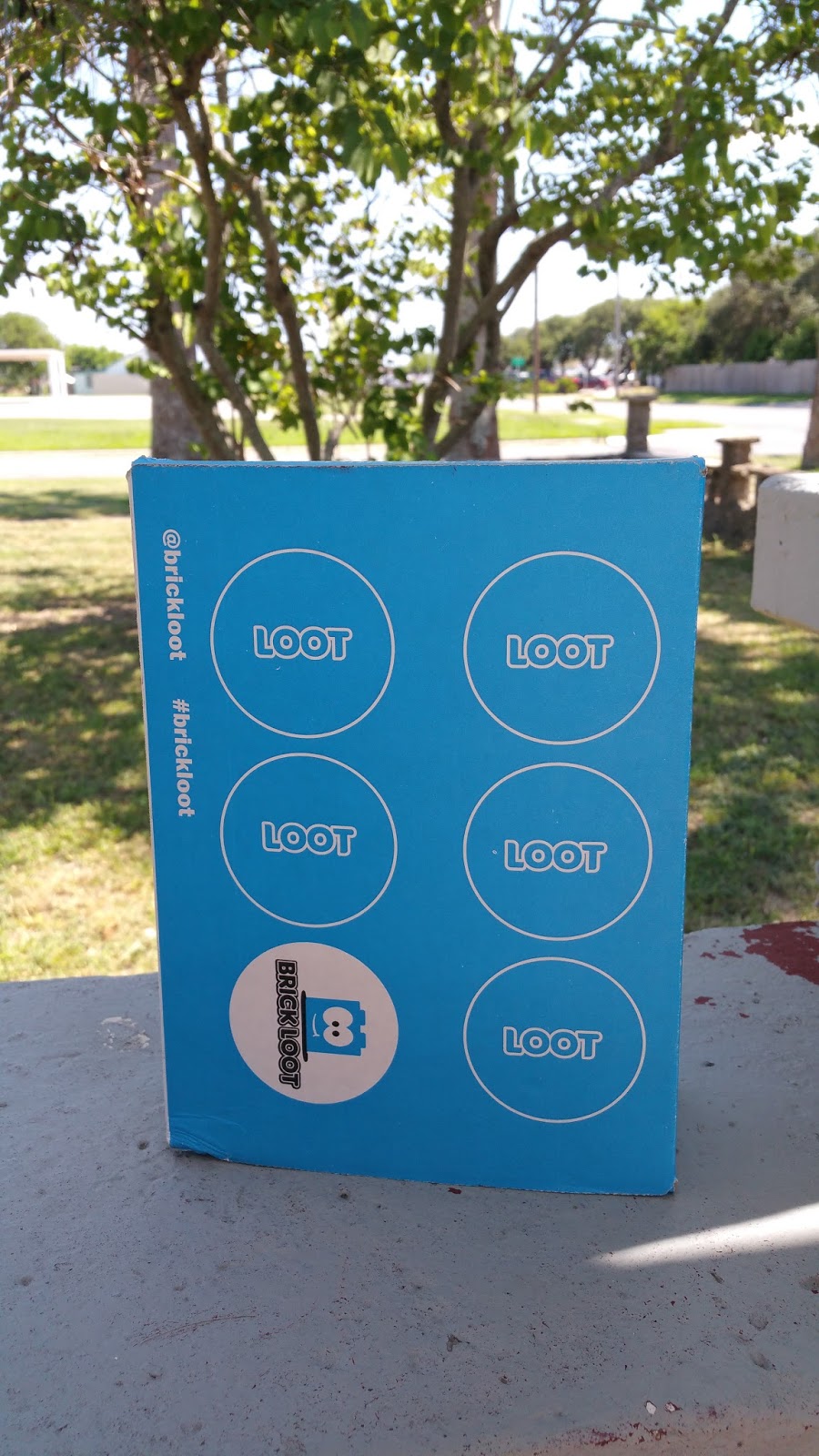 The ABCD Diaries: Check Out the Hottest LEGO Subscription Box: Brick Loot!