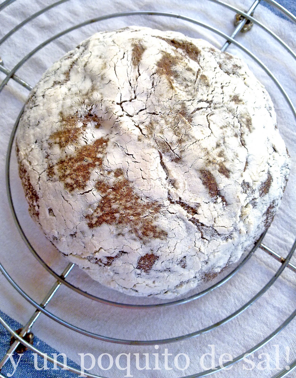 Sugg-r and some Salt: [mi primer pan con masa madre] pan integral de ...