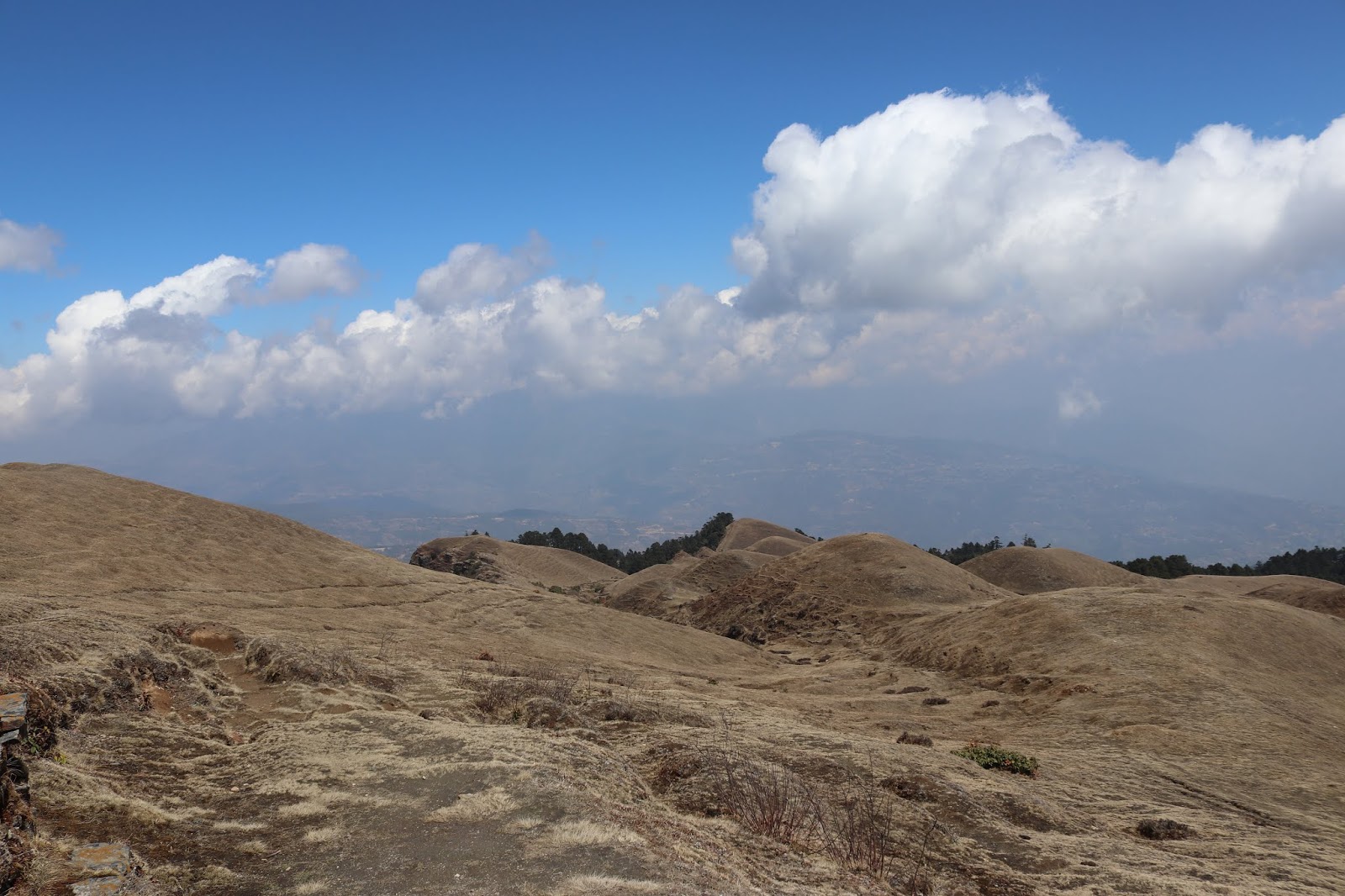 Everything You Need To Know About Sailung