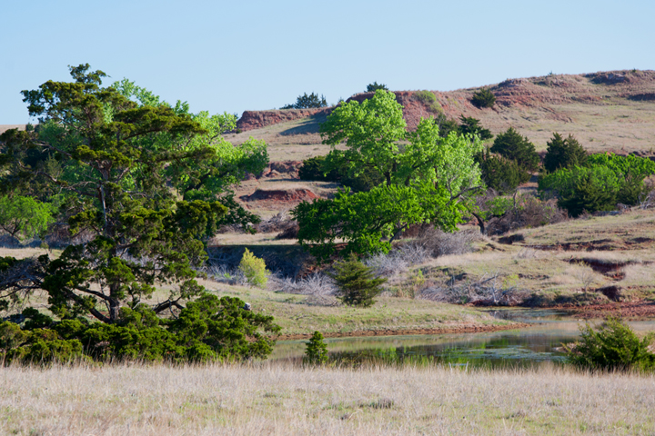 Frank Thompson's Kansas Journeys: The Red Hills